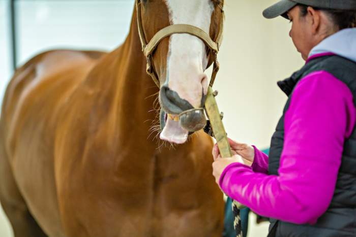 Ramey: How I Think The Twitch Works Its Magic - Paulick Report | Latest ...