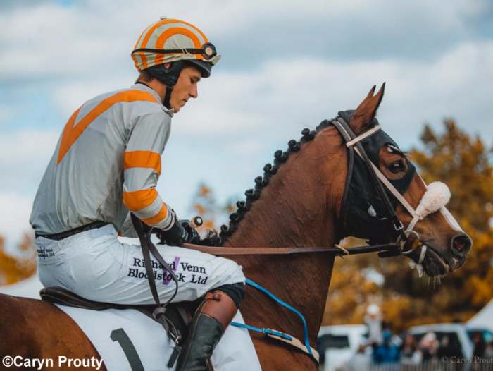 Steeplechase Horse Of The Year Andi'amu Retired To Kentucky Horse Park ...