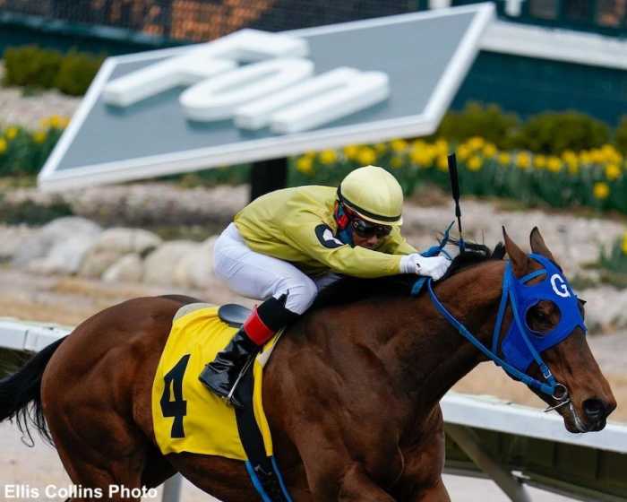 Fonner Files: Wicked, Wonky, And Weird At Fonner Park In 2022 - Paulick ...