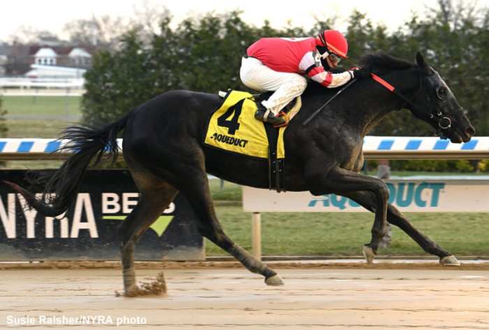 Forma, Of Seacoast Thoroughbreds Of New England, Enjoying Ride With ...