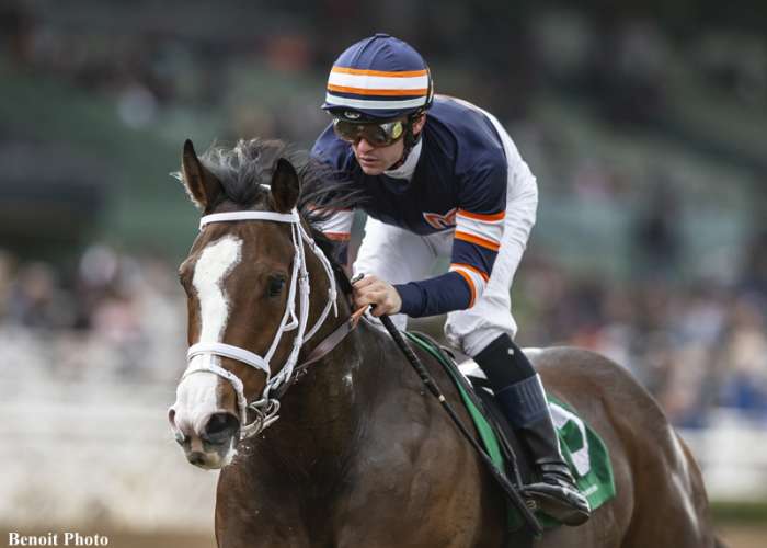 Alexander Homebred Becca Taylor Tops Field Of Five For Desert Stormer ...