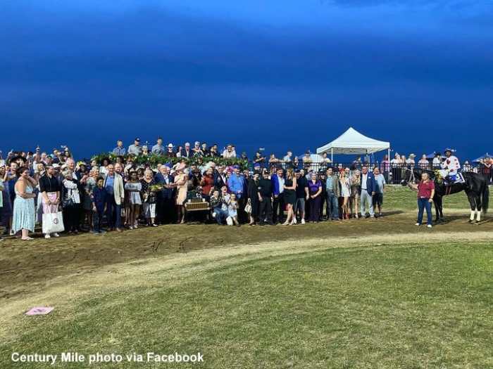 ‘He’s Meant To Be A Good Horse’: Great Escape Blazes To Track Record ...