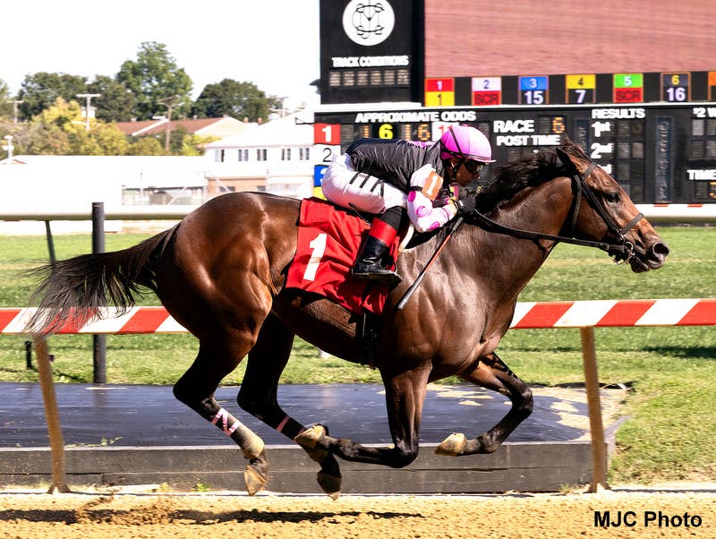 Mike Repole Buys Majority Interest In Undefeated 3-Year-Old Mo Money Mo ...