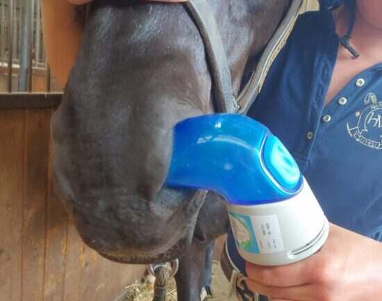 Equine Inhaler Recycling Program Puts Pharmaceutical Company At ...