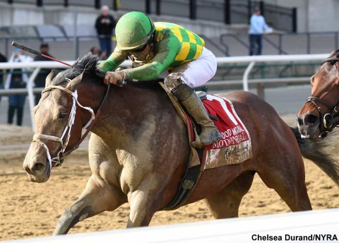 The Derby Bubble Presented By Kentucky Breds: Playing 'Good Trip, Bad ...