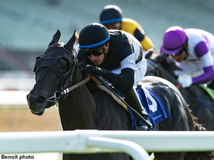 Canoodling Scores Front-End Wilshire Victory On Santa Anita Lawn ...