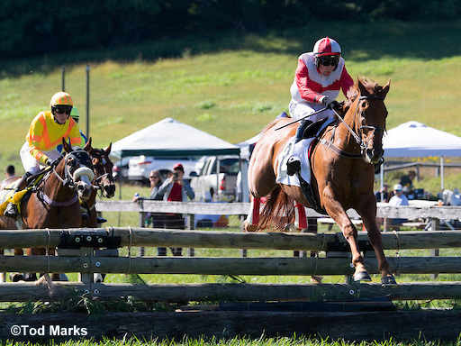 Shawan Downs Recap: Storm Team Runs Away From Andi'amu In Brown ...