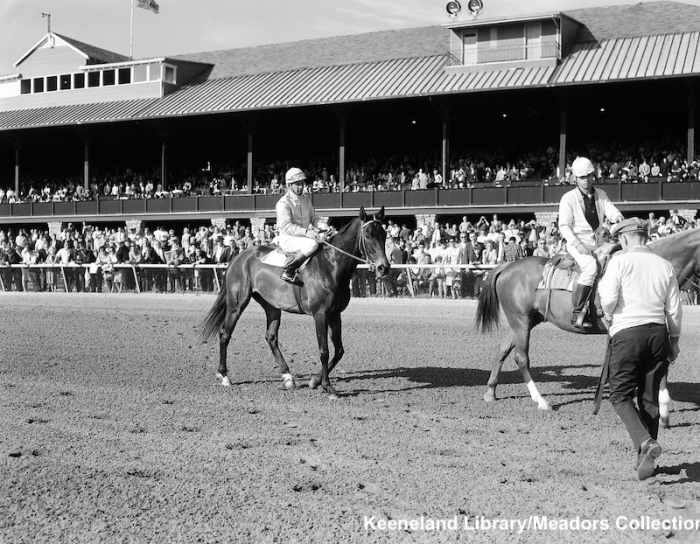 Racing History: Kelso Had A Career After The Track, Too - Paulick ...