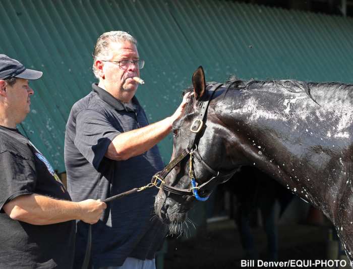 Dale Romans: 'Industry Needs To Come Together Now And Work With HISA ...