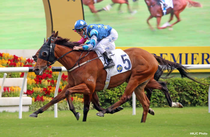 Hong Kong Racing Study Guide: Halfway Through, A Review Of The Standout ...