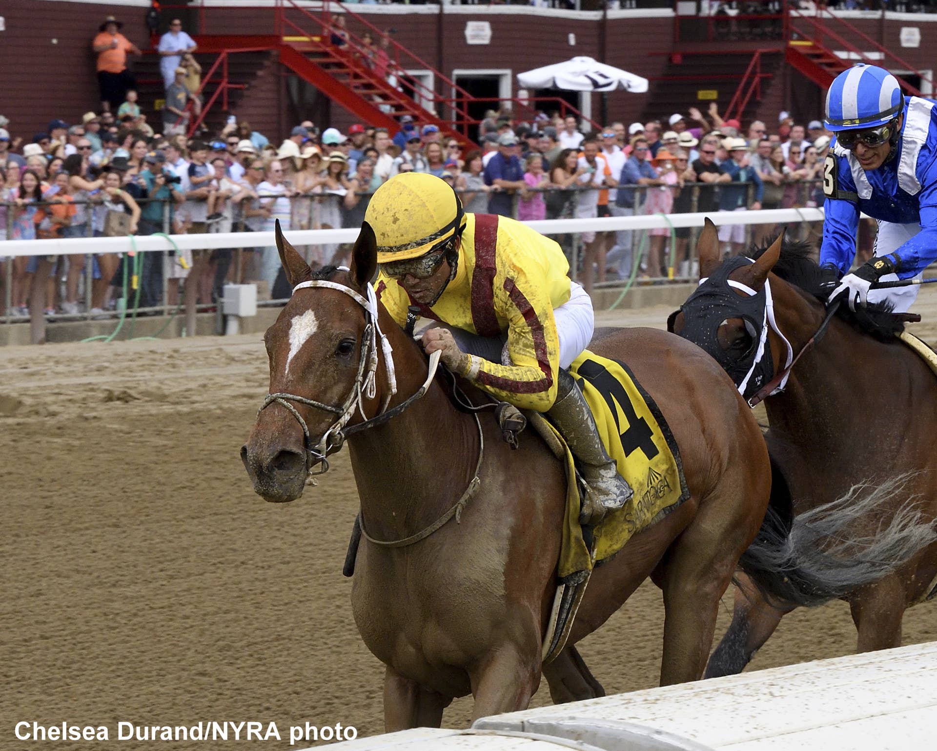 Stonestreet Runners Clairiere, Pauline's Pearl Retired, Breeding Plans ...