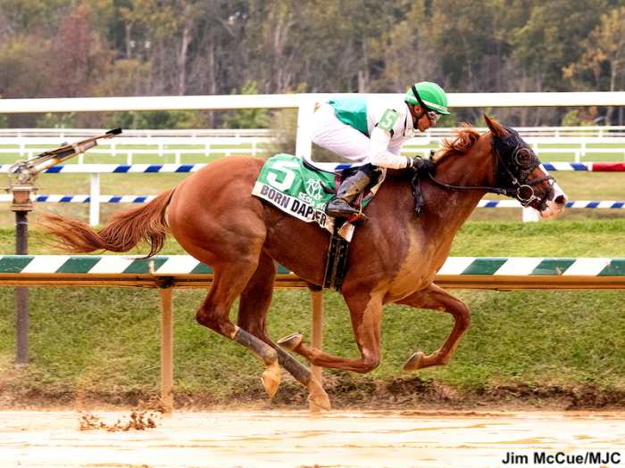 Born Dapper Now A Dual-Surface Threat After Selima Victory On Dirt ...
