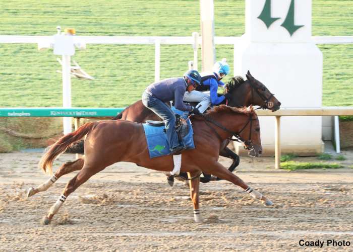 Derby Update: Owners Of Renewed Candidate Classic Causeway 'Have About ...