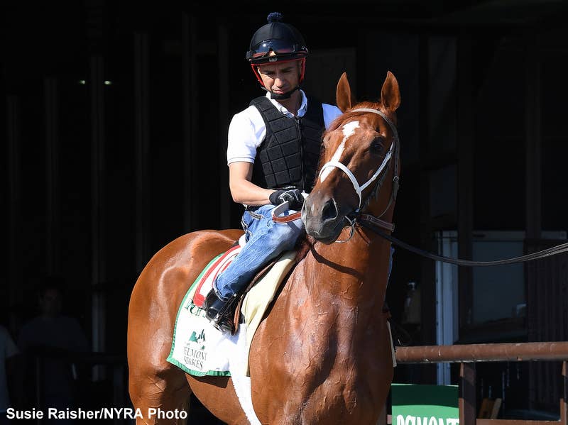 Kentucky Derby Winner Rich Strike Faces Trio Of Grade 1 Winners In ...