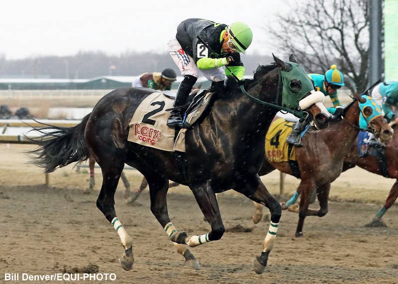 Pennsylvania Leaderboard: Northview Stallion Station Continues ...