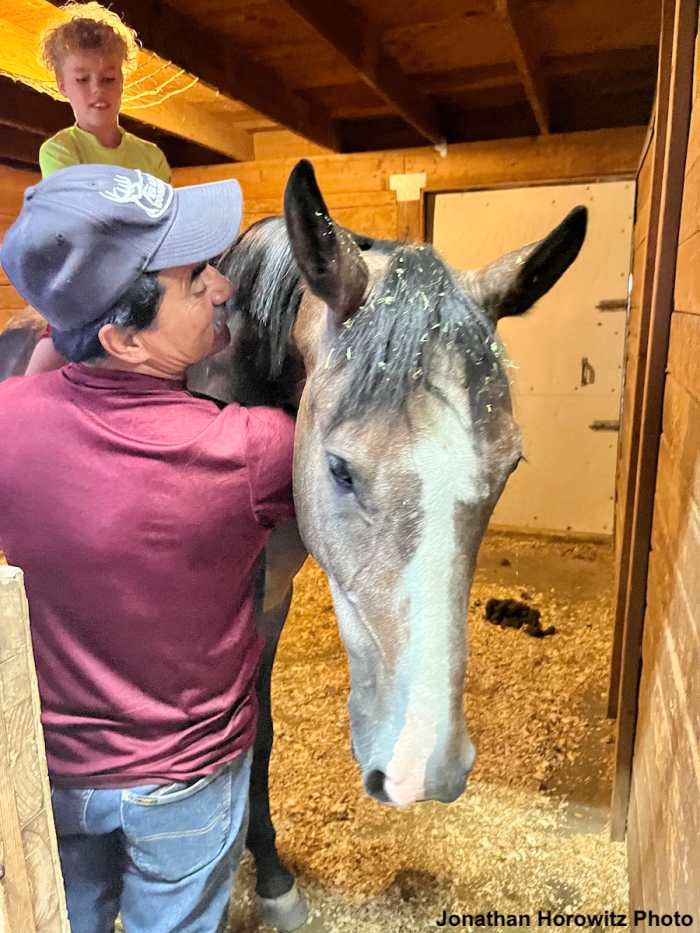 Horowitz On OTTBs, Presented By Excel Equine: Lessons Learned From AA ...