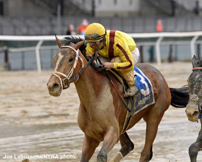 Royally-Bred Julia Shining 'Starting To Fill Out Into Her Frame ...