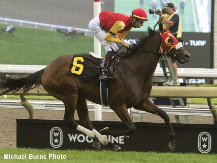 Whimsical Dance, Swoop To Finish Give Gail Cox Two Good Chances As ...