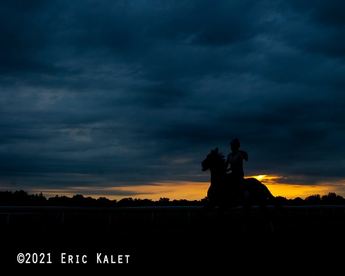 The Friday Show Presented By Woodbine: Travers Day Is Upon Us - Paulick ...