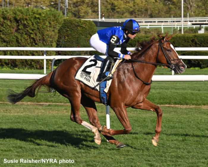 Lady Edith Leads Clement Exacta In Floral Park, Adds Third Stakes To ...