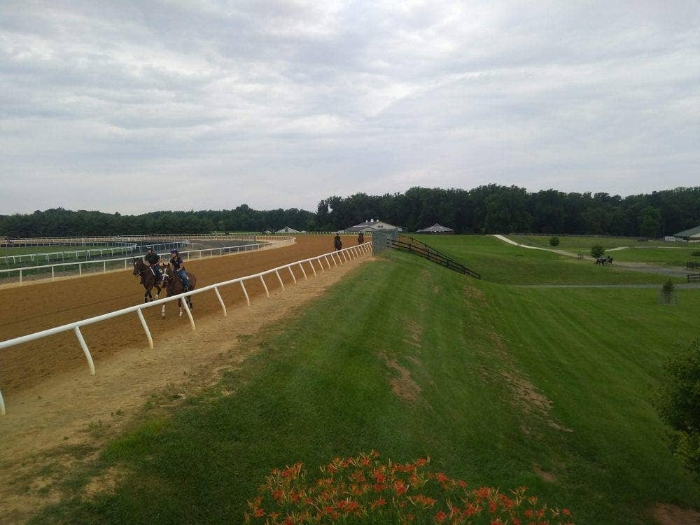 Preciado Surfaces At Fair Hill As Fellow Horsemen Raise Questions About ...