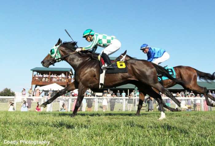 Talk Of The Nation Bests Wadsworth For Gun Runner Triumph - Paulick ...