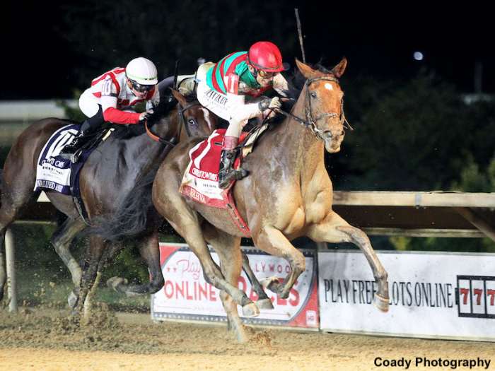Equibase Analysis: Vahva May Have Edge Over Alva Starr In Raven Run ...