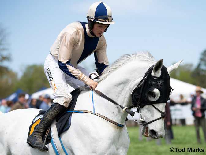 Steeplechase: Gold Charm Captures Rouse, Adding To Naylor Stable's ...