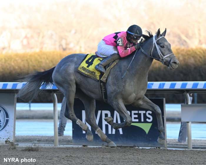 The Derby Bubble Presented By Kentucky-Breds: Playing 'Good Trip, Bad ...