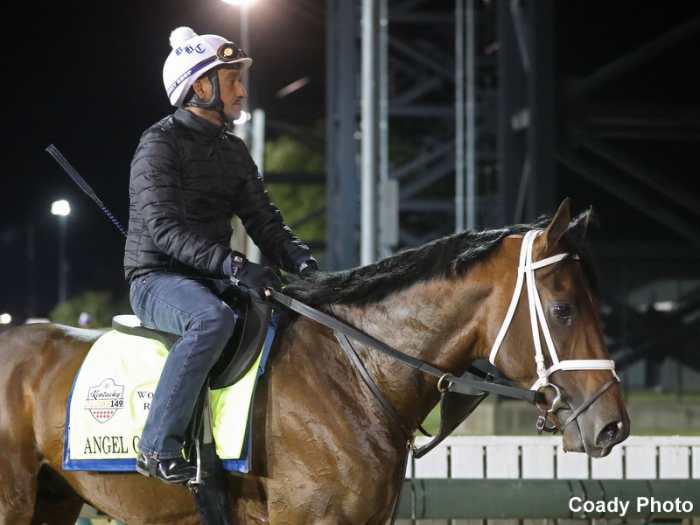 Equibase Analysis: Angel Of Empire Gets Slight Edge Over Deep Kentucky ...
