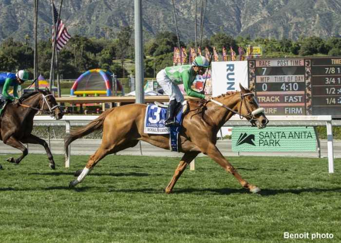 'A Horse That Loves To Run': Closing Remarks Accelerates In Lane To ...