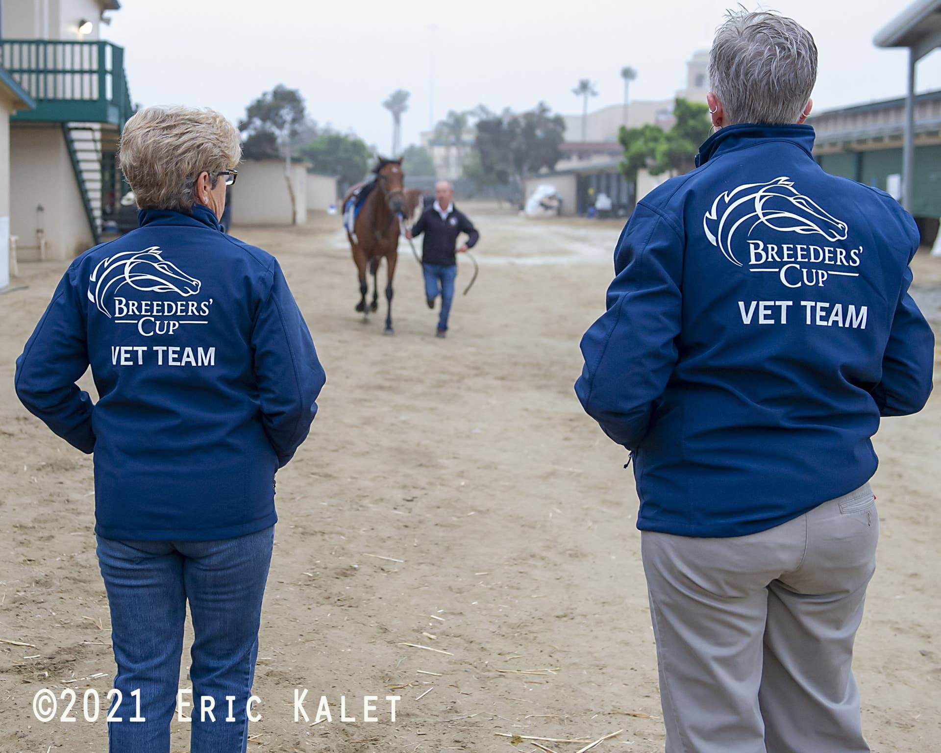 Breeders' Cup Veterinary Review Team Conducts Advanced Pre-Screening ...