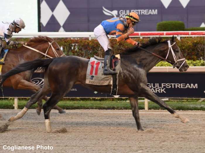 The Derby Bubble Presented By Kentucky-Breds: Forte Continues Doing ...