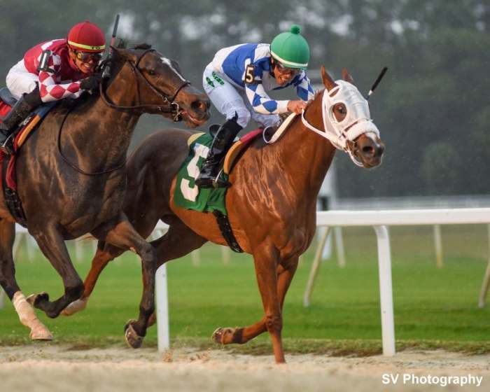 Jockey Of The Week: Samy Camacho Springs 38-1 Upset In Suncoast Stakes ...