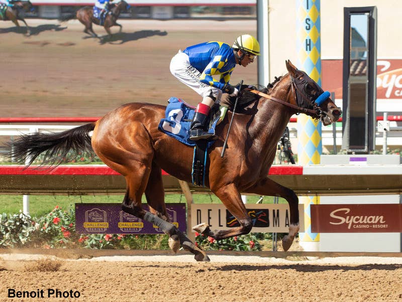 National Treasure Returns To Training After Setback - Paulick Report ...