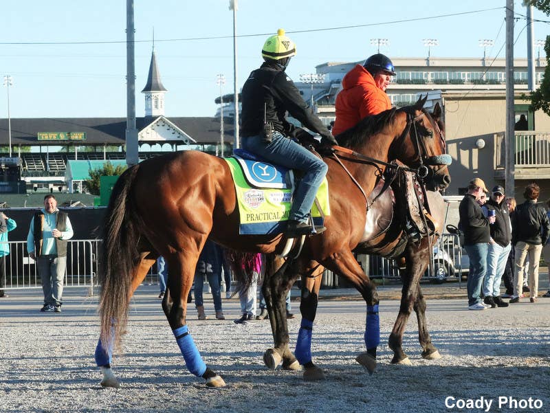 Santa Anita Derby Winner Practical Move Returns In Friday Allowance At ...