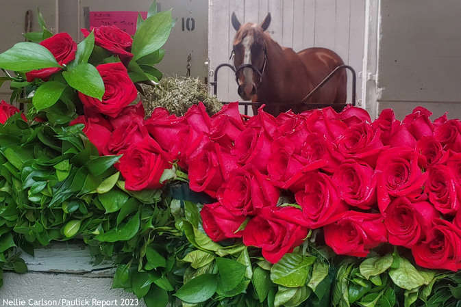 Kentucky Commission Confirms All Post-Race Tests For Derby, Oaks Are ...