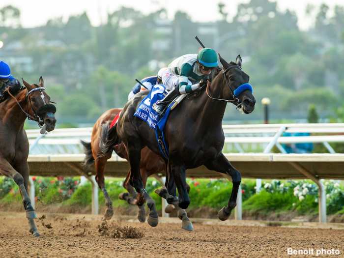 Adare Manor Scores First Grade 1 Victory In 'Win And You're In' Clement ...