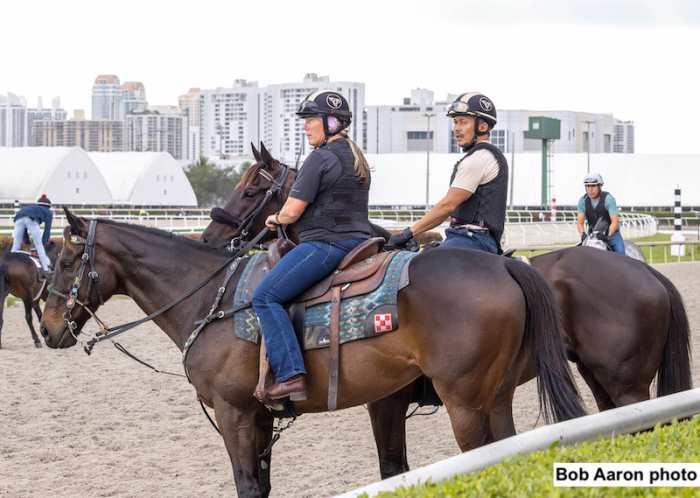 Kirkpatrick & Co. Presents In Their Care: Goodwin, Mallari Embody Antonucci Stable's Family ...