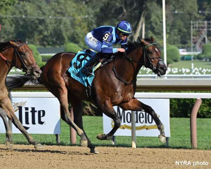 Undefeated Brightwork, Pocahontas Winner V V's Dream Headline Friday's Alcibiades - Paulick ...