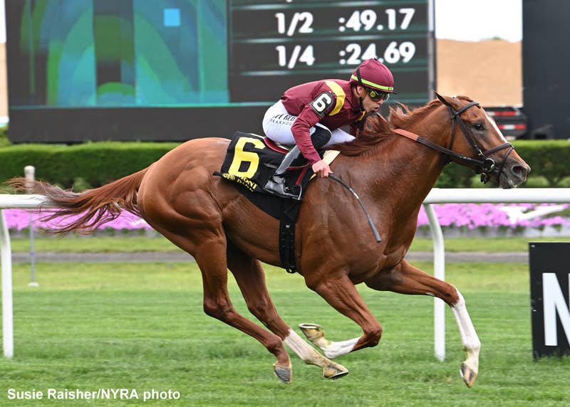 Brown Eyes Canadian Classic Tests For Kalik, Big Brass Bed - Paulick ...