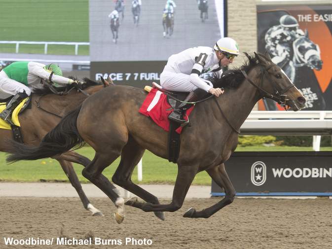 'She Has Taken Time To Mature': Millie Girl Chases Graded Status In ...