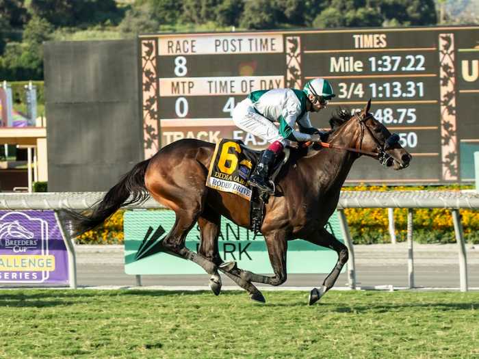 Didia Ships West To Win Rodeo Drive, Claim Spot In BC Filly & Mare Turf ...