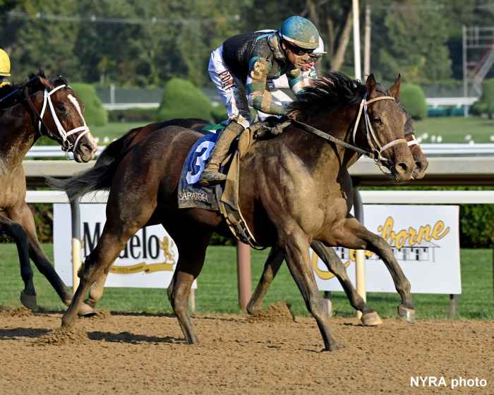 Bloodlines: Patience Paid Off On Many Levels For Nutella Fella, Sire ...