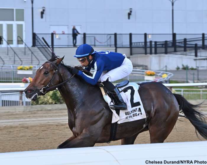 Front-Running Bold Ruler Winner Durante To Meet Five In Fall Highweight ...