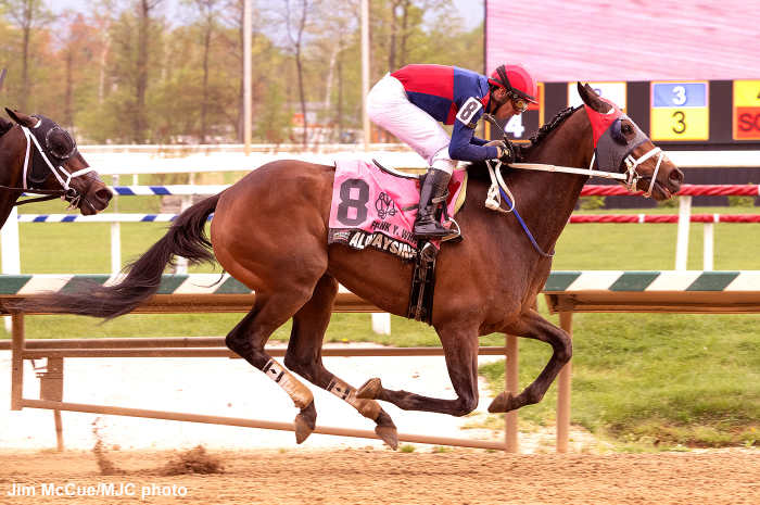 Trainer Phillip Capuano Wins First Stakes With Alwaysinahurry In Laurel ...