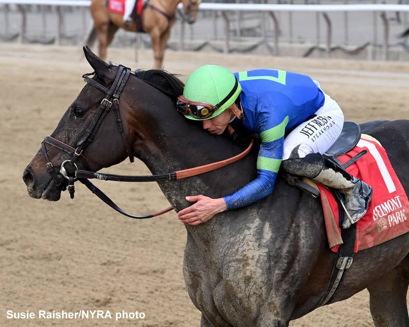 Bloodlines: The Various Dividends Of Champion Goodnight Olive - Paulick ...