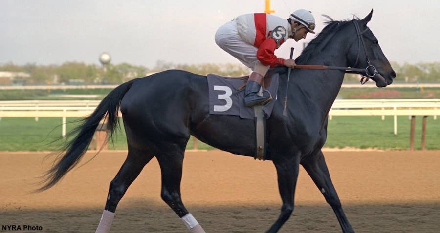 NYRA Relocates Remains Of Ruffian To Claiborne Farm, Timely Writer To ...