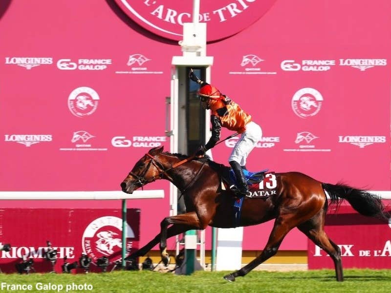 Arc Winner Ace Impact Named Cartier Horse Of The Year - Paulick Report ...