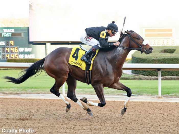 Nancy Knott's Two-Horse Stable Has Potential For Big Saturday At ...